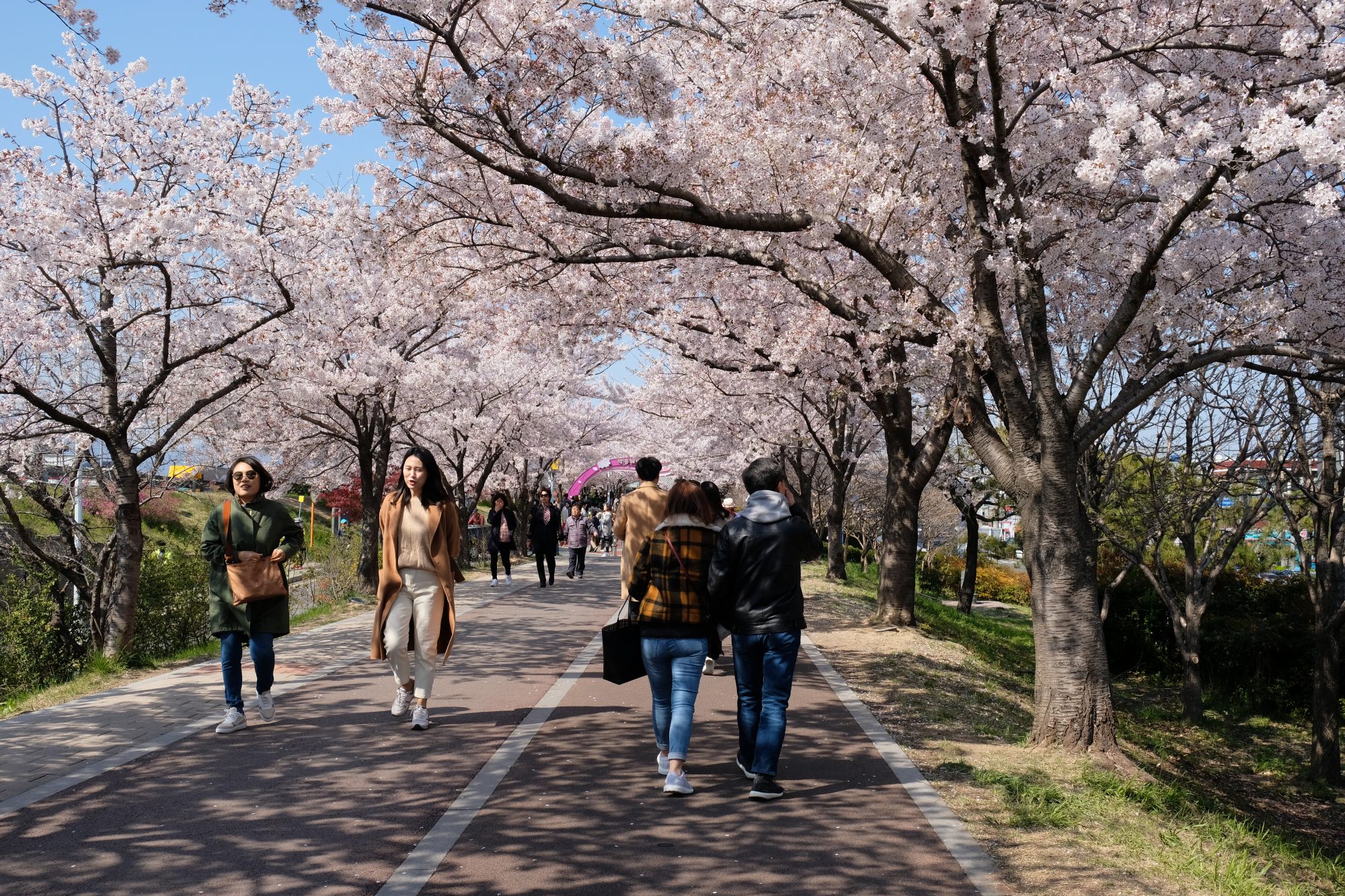 Samnak Eco-Park (삼락생태공원) Photo Blog: Perfect place to experiencing ...