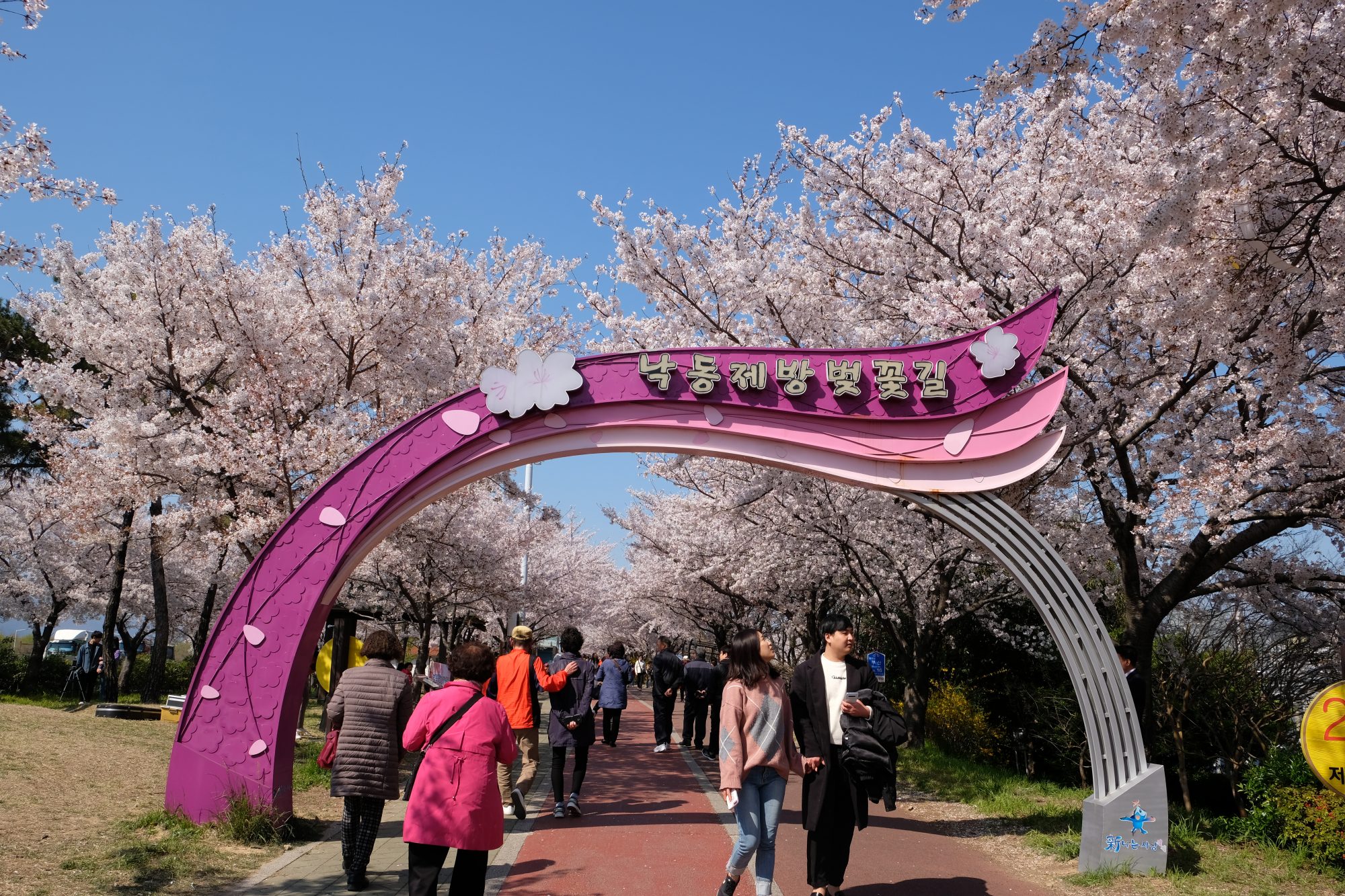 Samnak Eco-Park (삼락생태공원) Photo Blog: Perfect place to experiencing ...