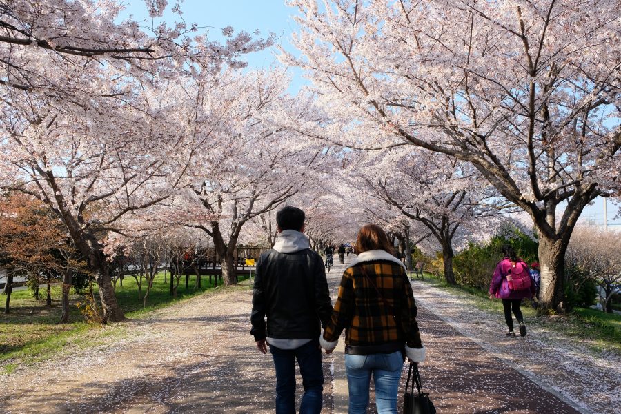Samnak Eco-Park (삼락생태공원) Photo Blog: Perfect place to experiencing ...