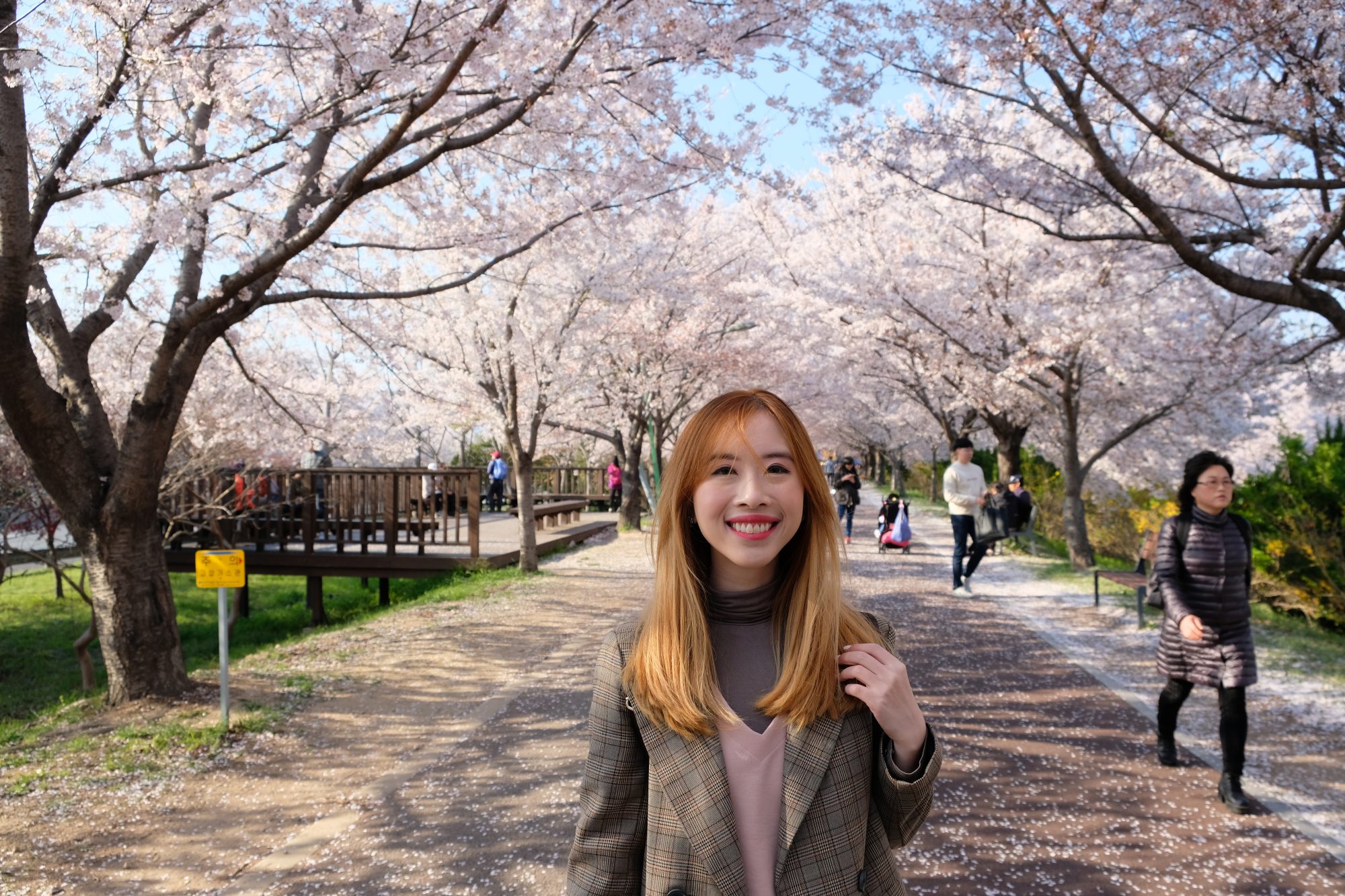 Samnak Eco-Park (삼락생태공원) Photo Blog: Perfect place to experiencing ...