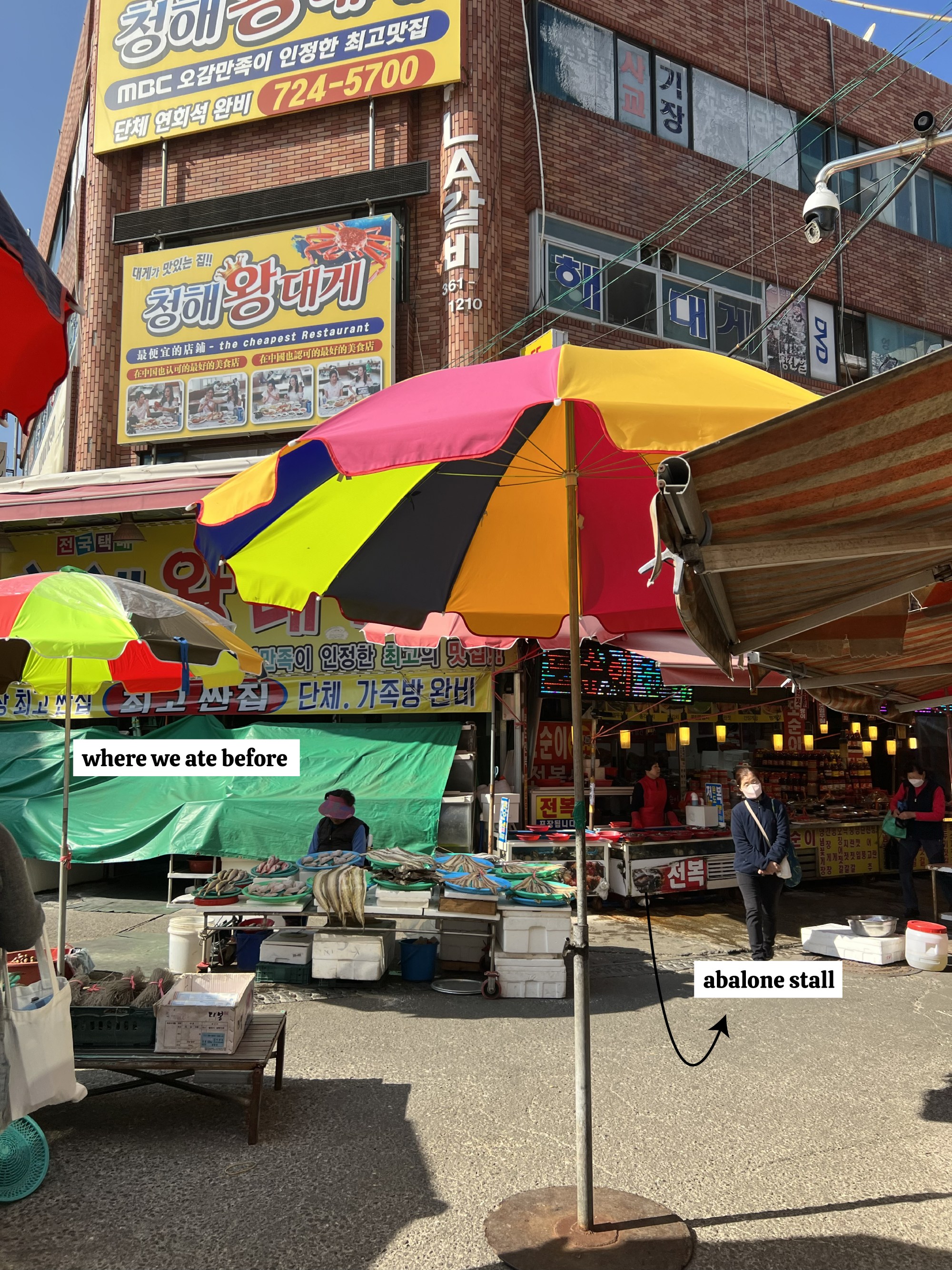 Gijang Crab Market (기장 대게시장) - (How to go, what to expect, and what we ...