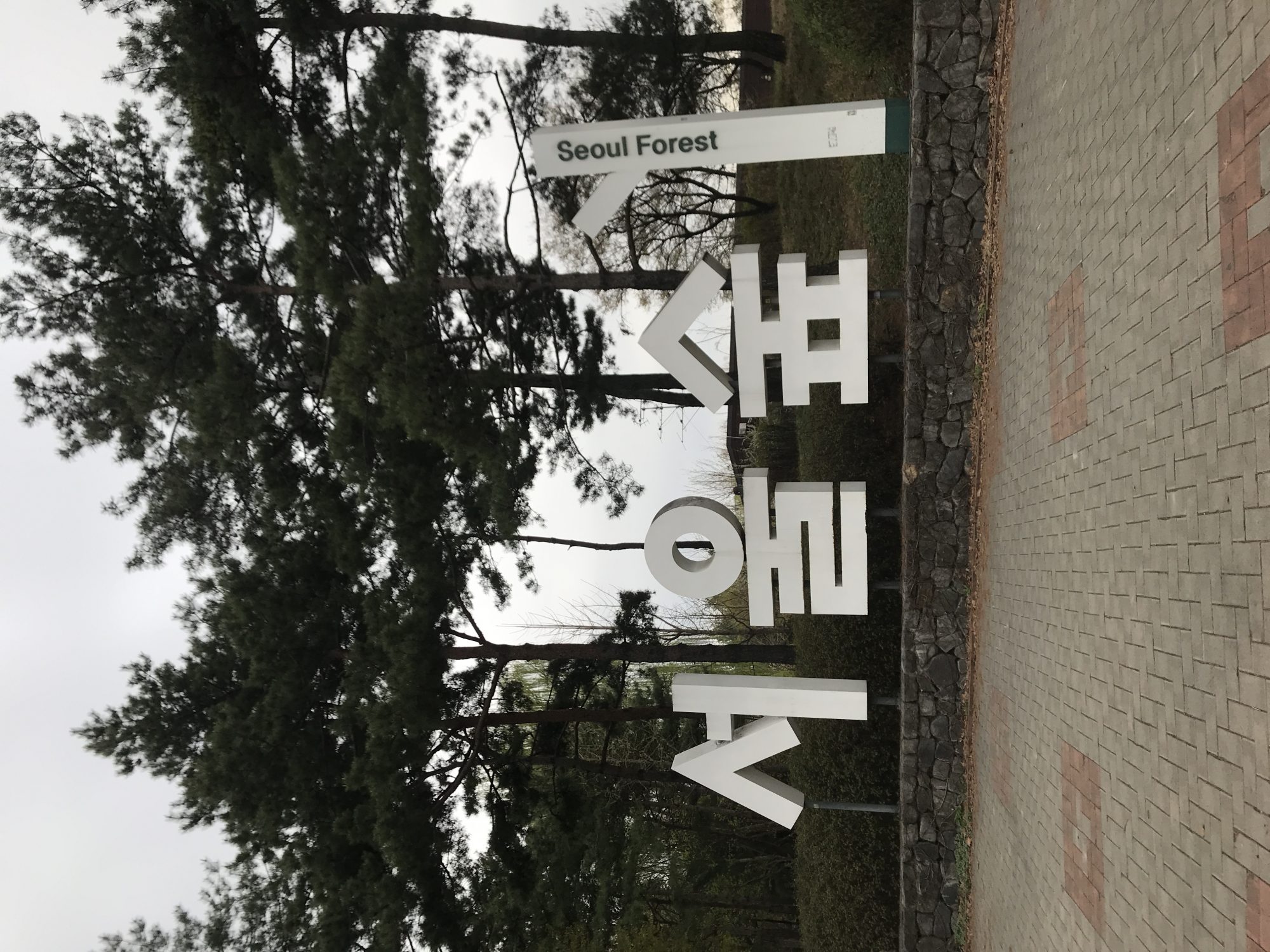 Seoul Forest Photo Blog: Good escape from city buildings - NCT 127 A ...