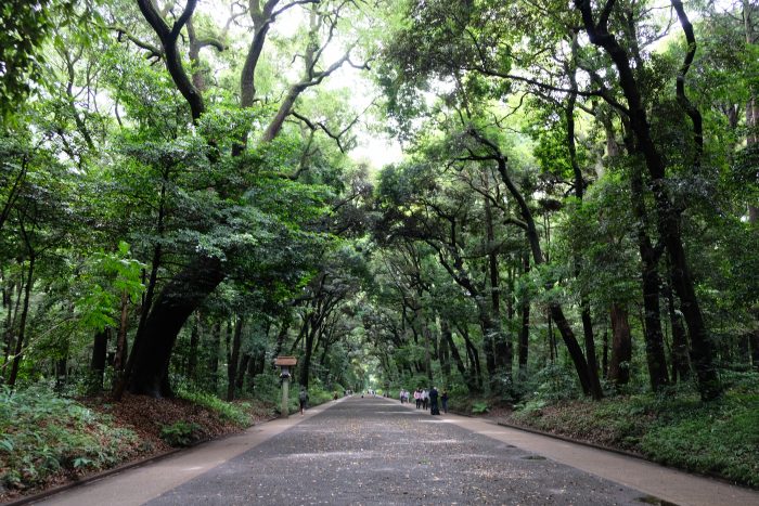 Meiji Shrine/Meiji Jingū (How to go and what to expect) - The Traveling ...