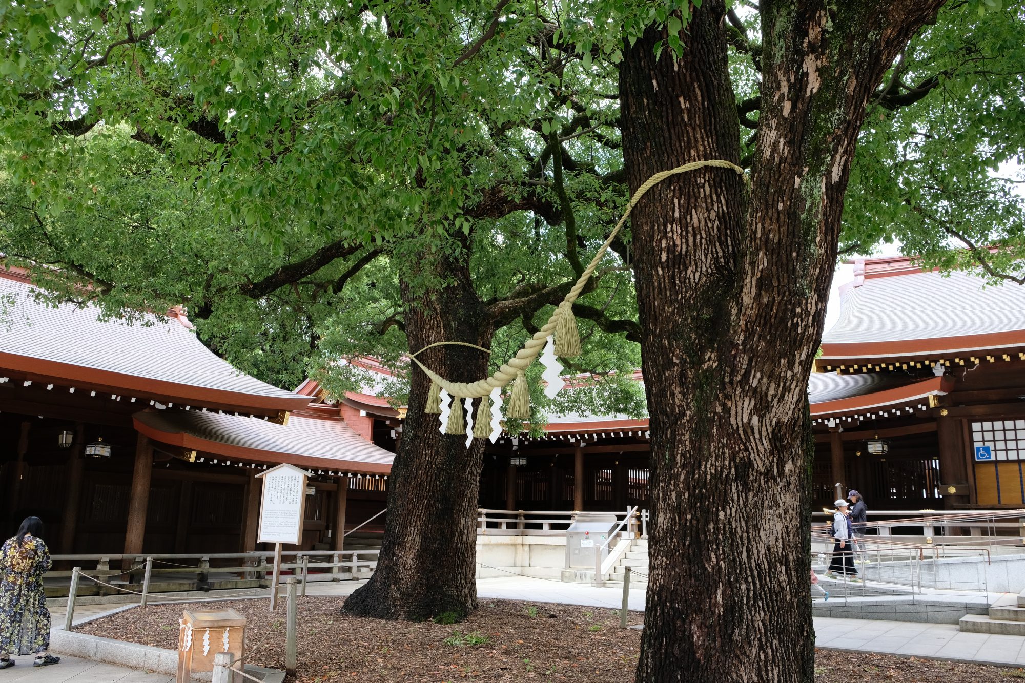 Meiji Shrine/Meiji Jingū (How to go and what to expect) - The Traveling ...