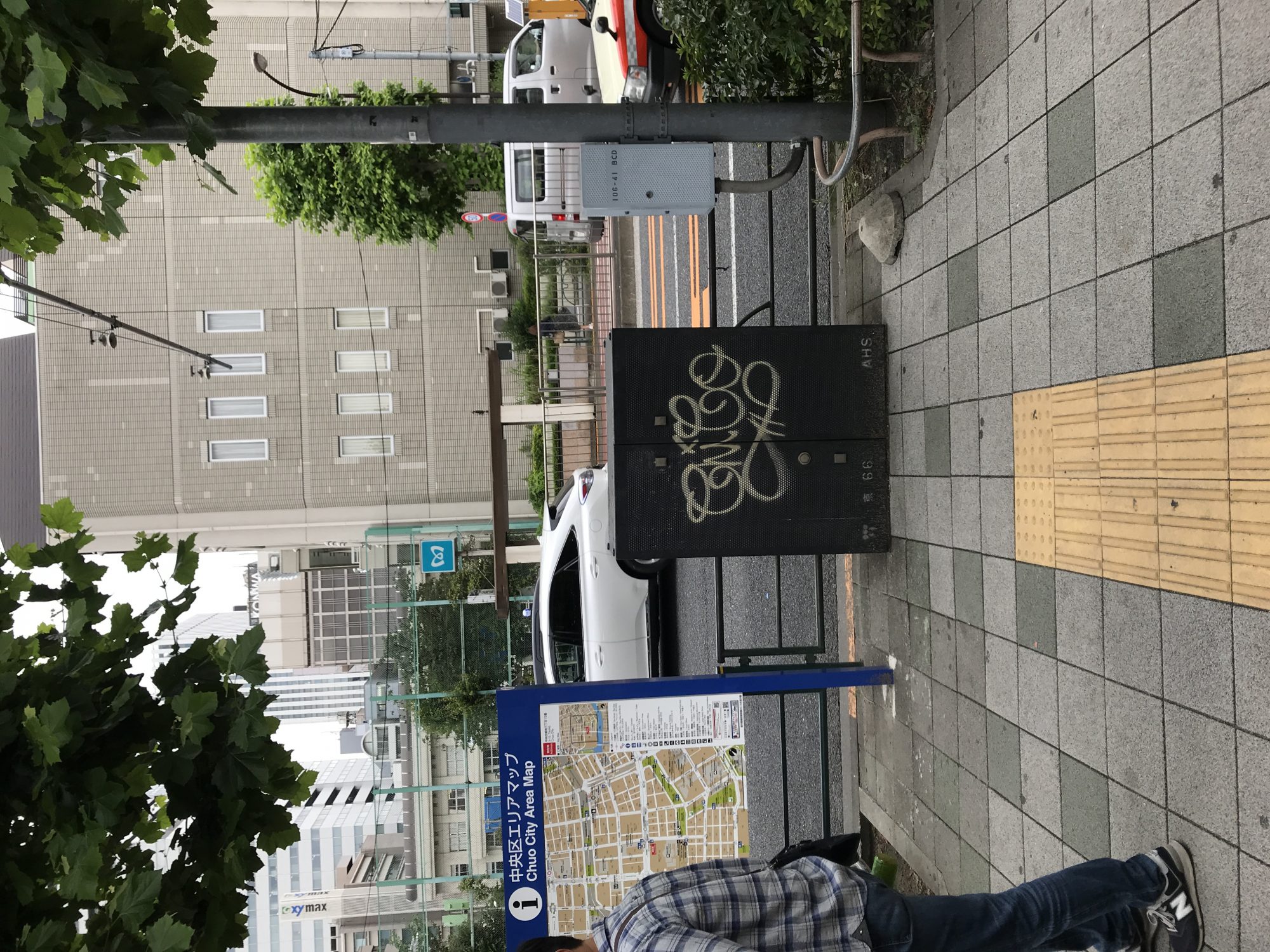 Tsukiji Market (How to go, what to expect, and is sushi or seafood ...