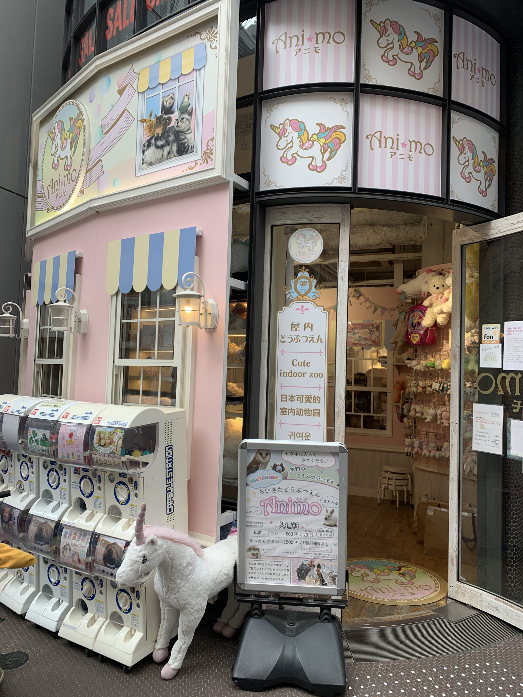 Orange Street (How to go and what to expect) - The Traveling Star