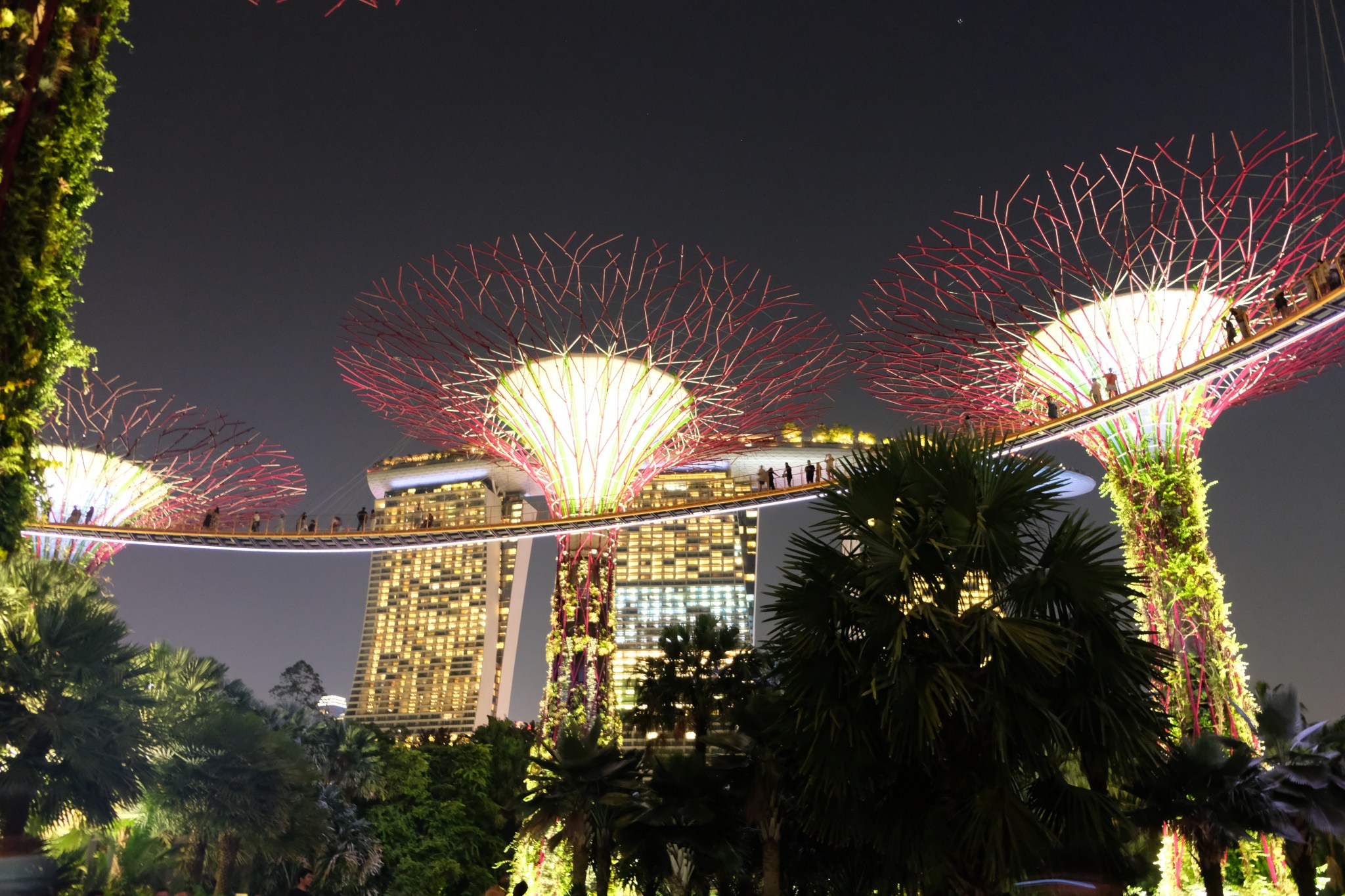 Supertree Grove : Watching the Light show at Night (What to expect ...