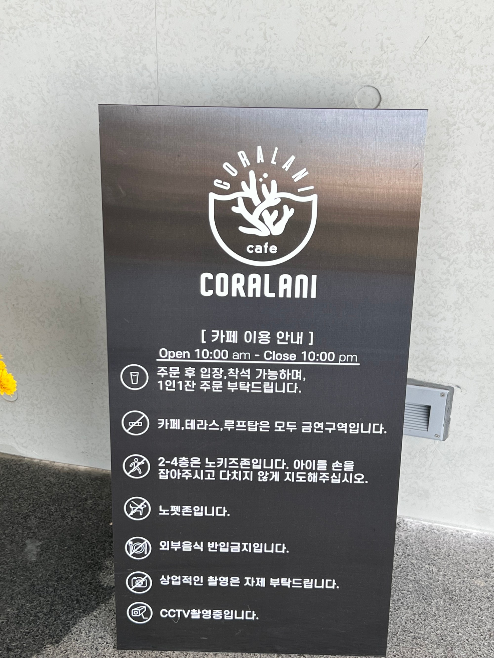 Coralani Cafe (How to go, what to expect) - The Traveling Star