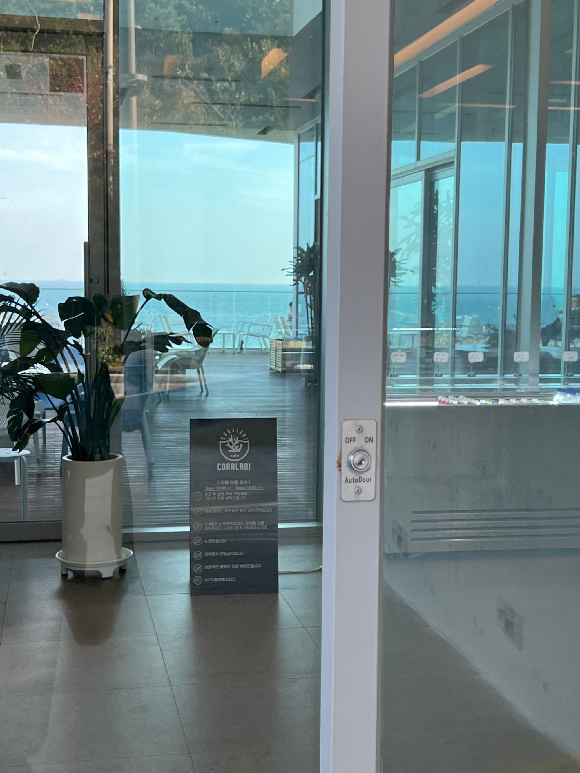 Coralani Cafe (How to go, what to expect) - The Traveling Star