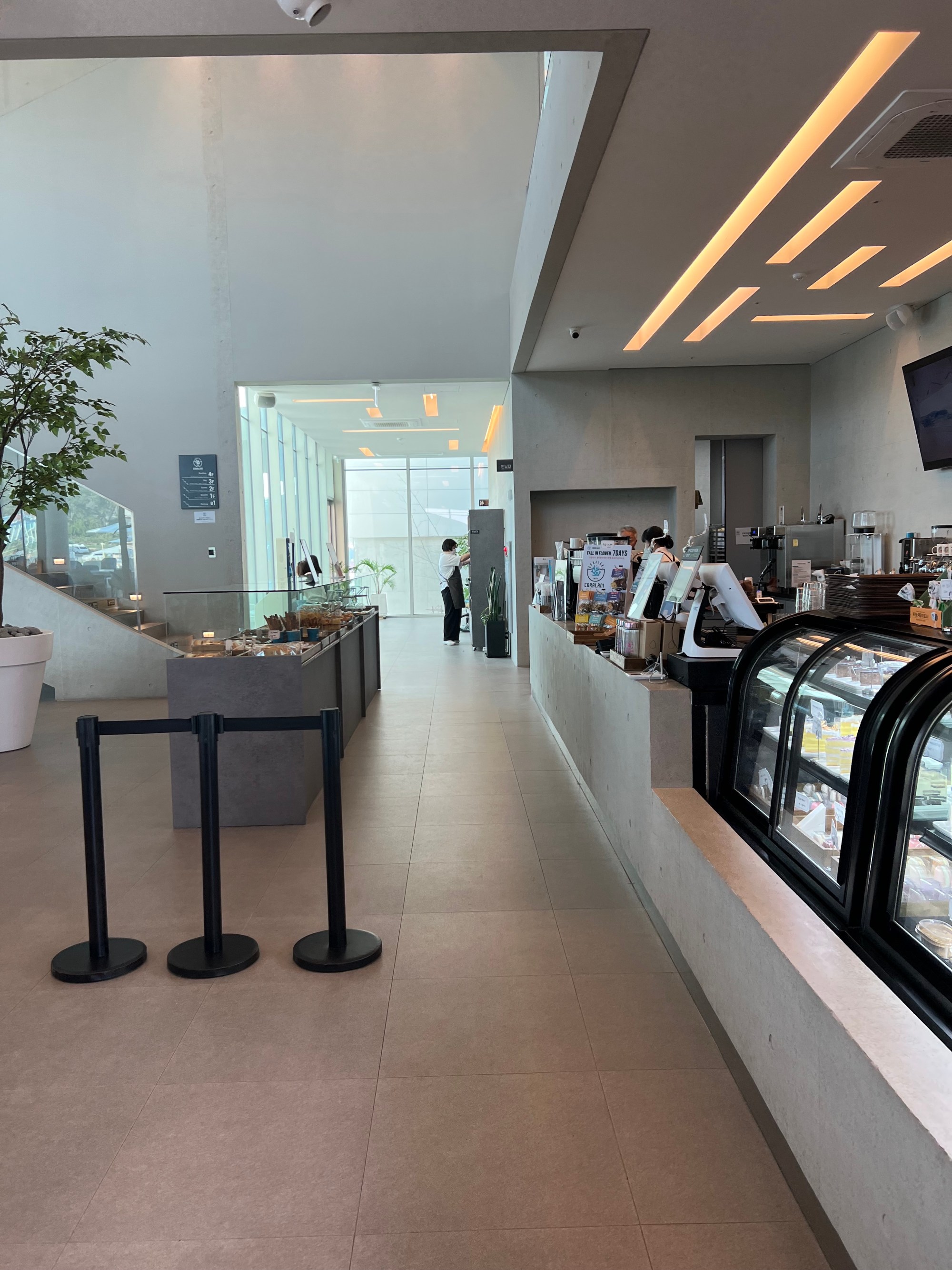Coralani Cafe (How to go, what to expect) - The Traveling Star
