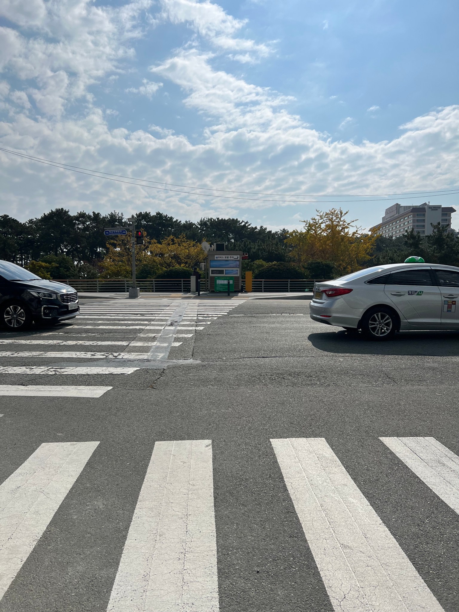 Snoopy Place Cafe (How to go, what to expect) - The Traveling Star