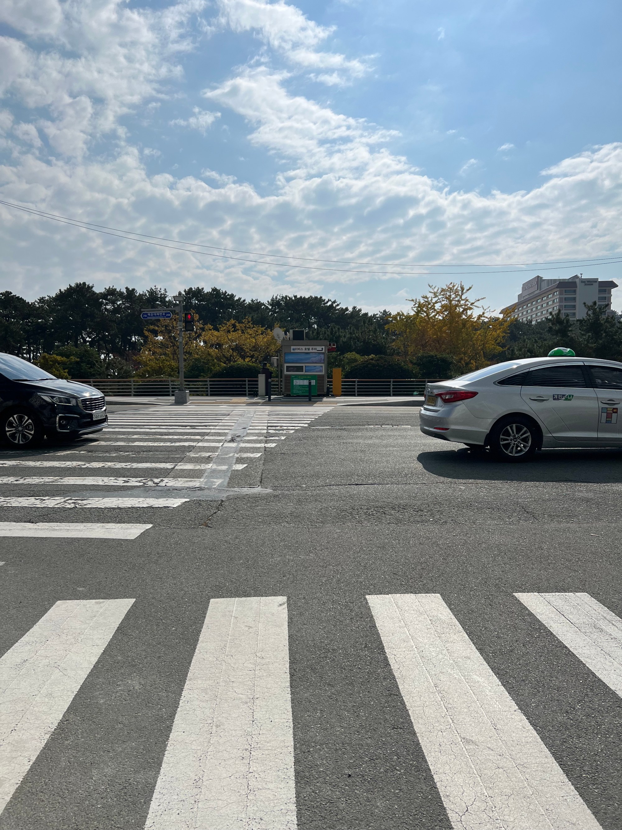 Snoopy Place Cafe (How to go, what to expect) - The Traveling Star