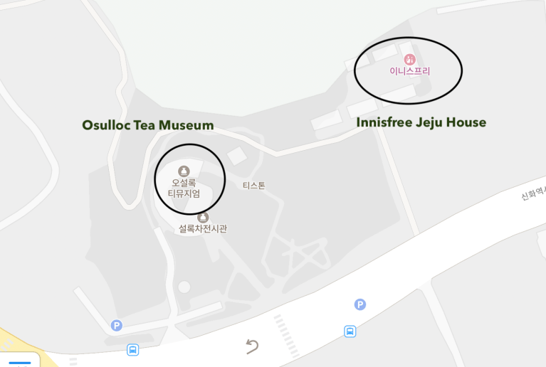 Osulloc Tea Museum (오설록 티 뮤지엄) (What to expect) - The Traveling Star